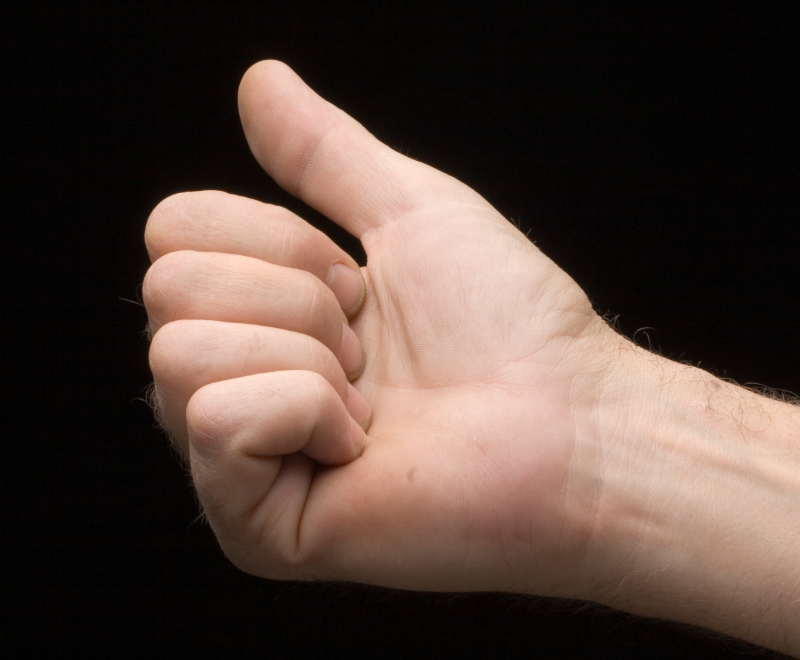 Maurice's Photos/still-life/hands/Hand 7