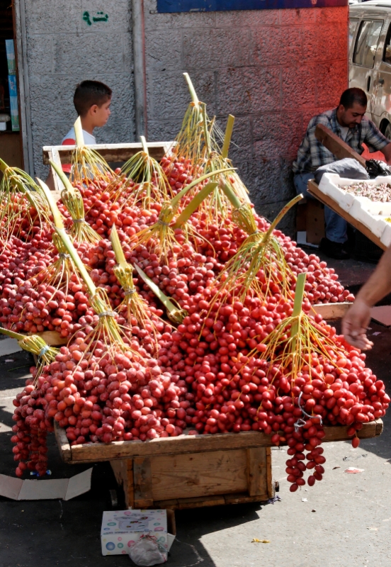 Maurice's Photos/travel/Jordan/Dates, Amman Jordan